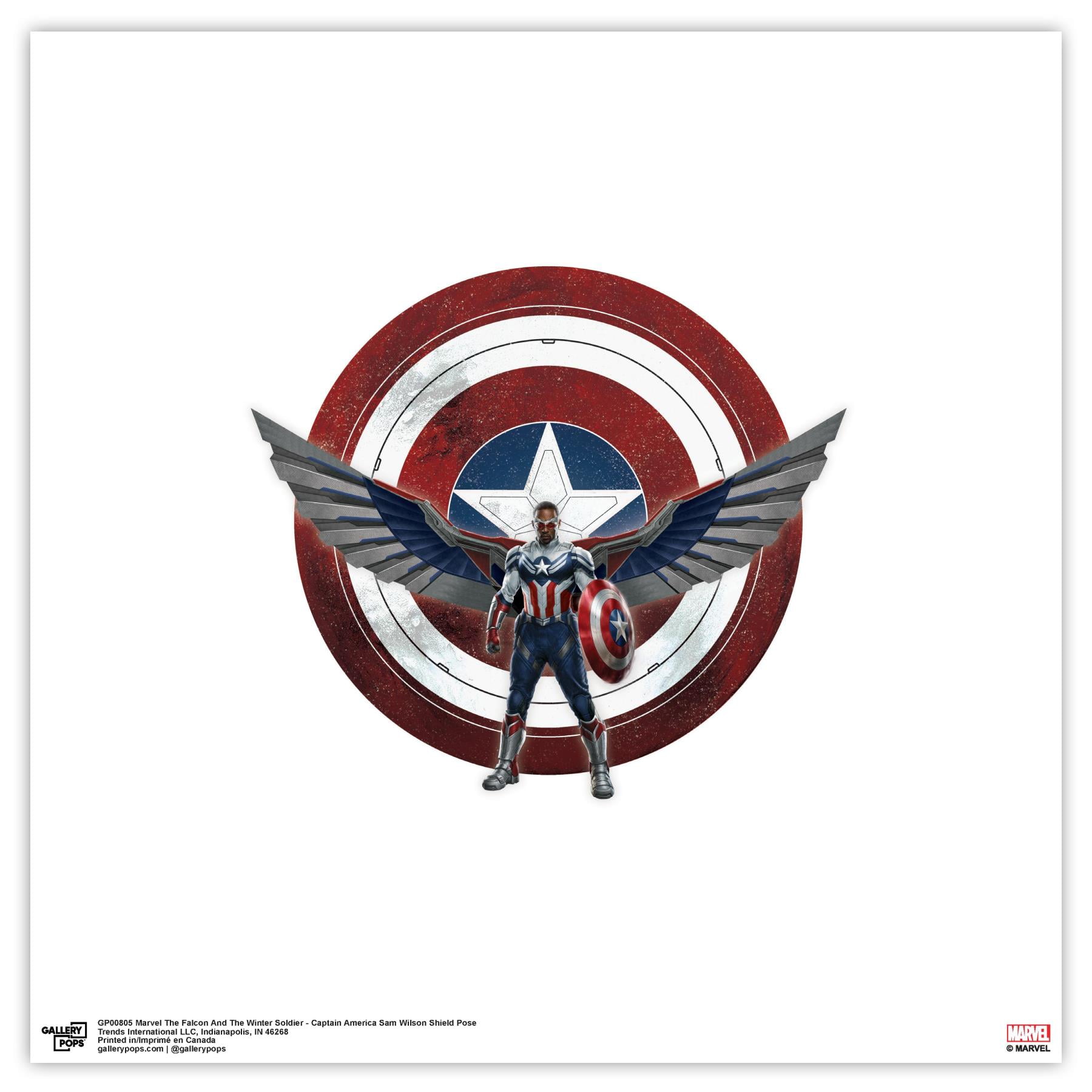 Gallery Pops Marvel The Falcon And The Winter Soldier - Shield Pose ...