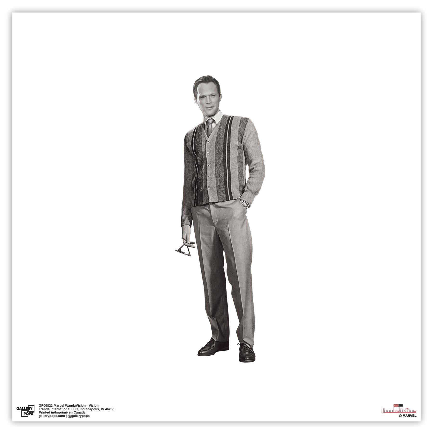 Gallery Pops Marvel WandaVision - Vision Wall Art, Unframed Version, 12 ...