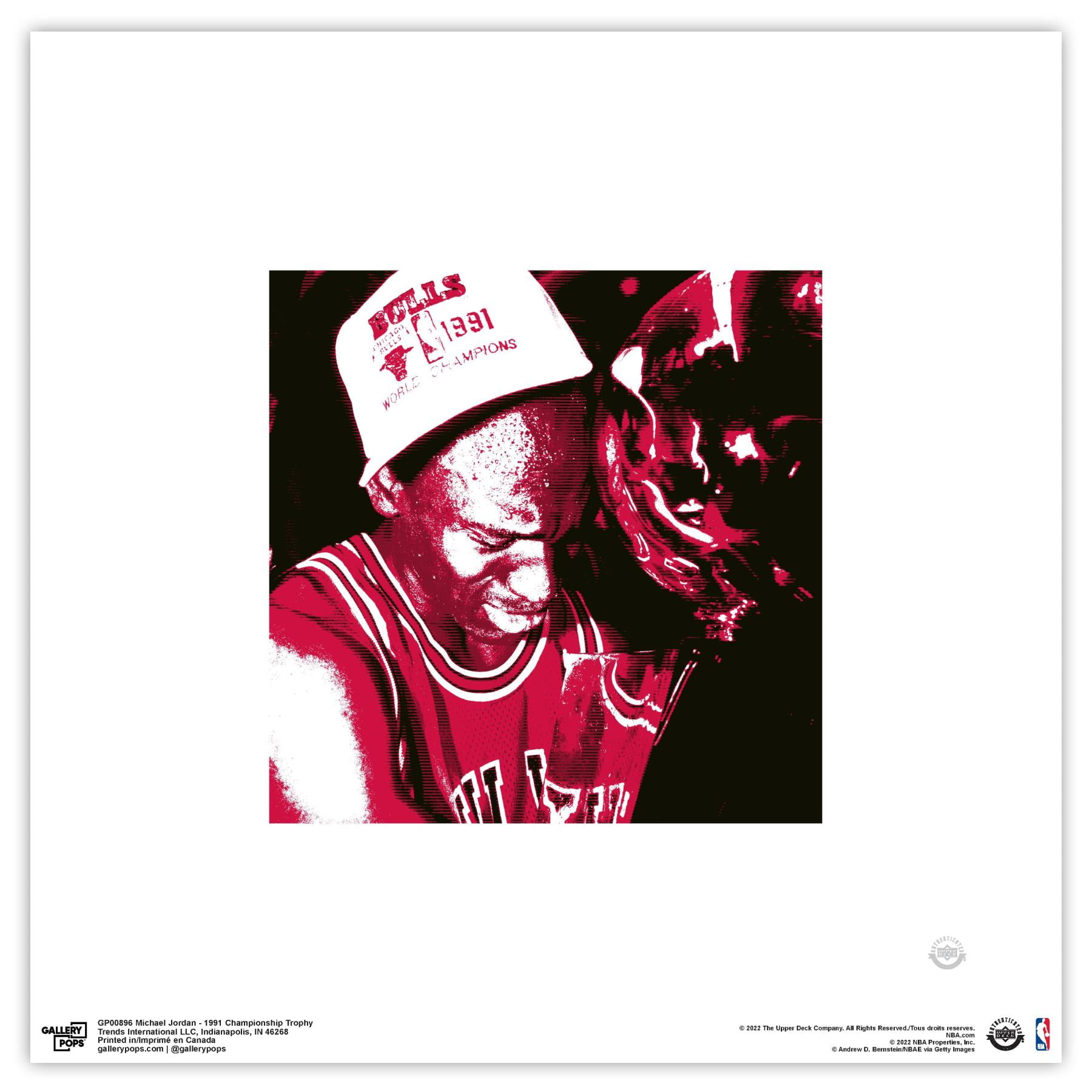 Gallery Pops Michael Jordan - 1991 Championship Trophy Wall Art ...