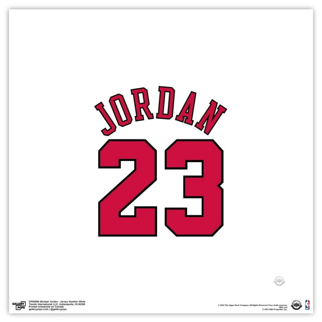 Gallery Pops Michael Jordan - Jersey Number White Wall Art, Unframed ...