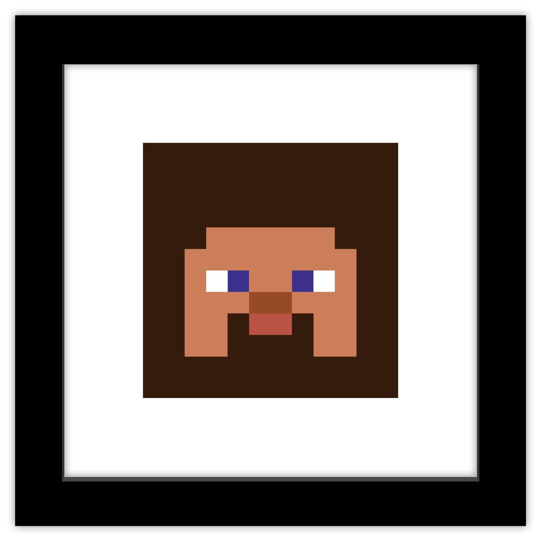 Gallery Pops Minecraft: Iconic Pixels - Mobs - Steve Wall Art, Black ...