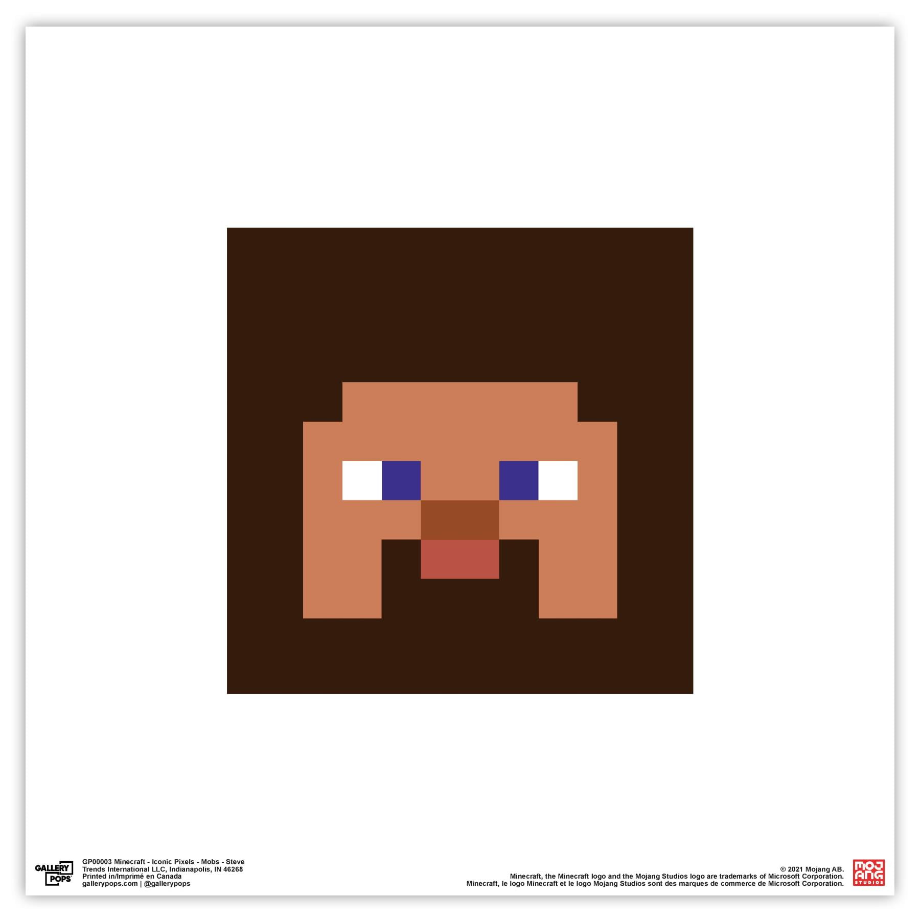 Gallery Pops Minecraft: Iconic Pixels - Mobs - Steve Wall Art, Unframed ...
