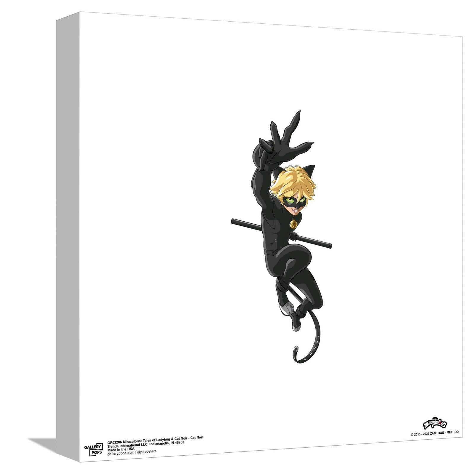 Gallery Pops Miraculous: Tales of Ladybug & Cat Noir - Cat Noir Canvas ...