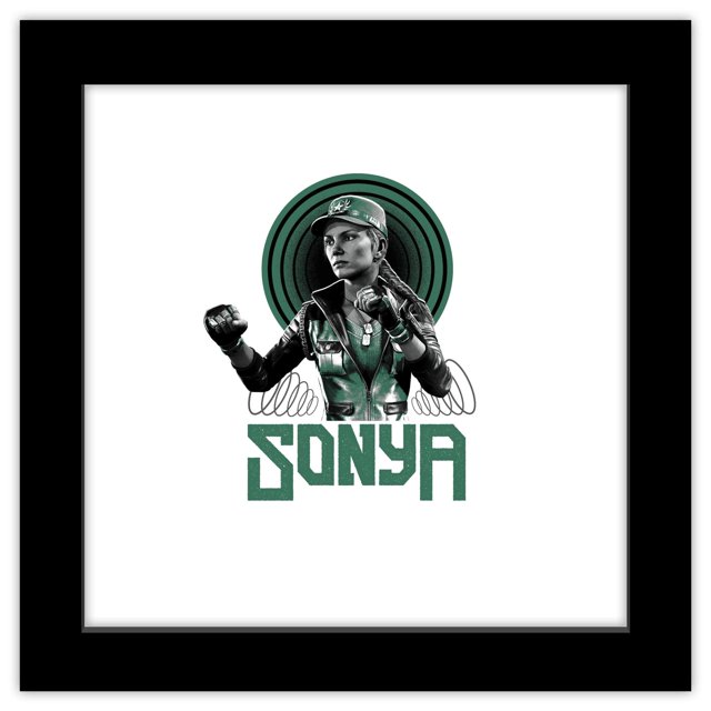 Gallery Pops Mortal Kombat - 30th Anniversary Sonya Wall Art, Black ...