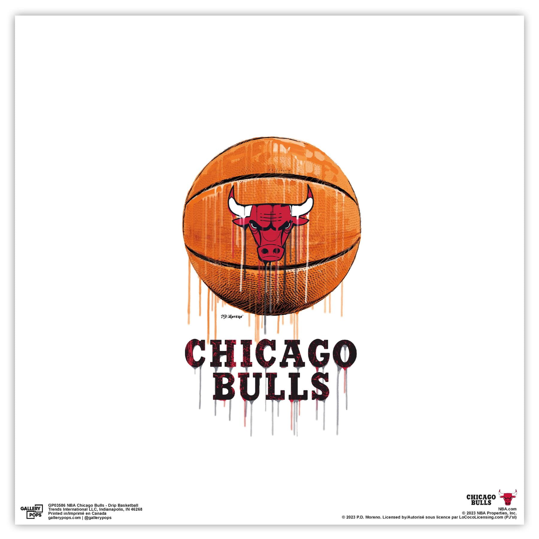 Gallery Pops NBA Chicago Bulls - Drip Basketball Wall Art, Unframed ...