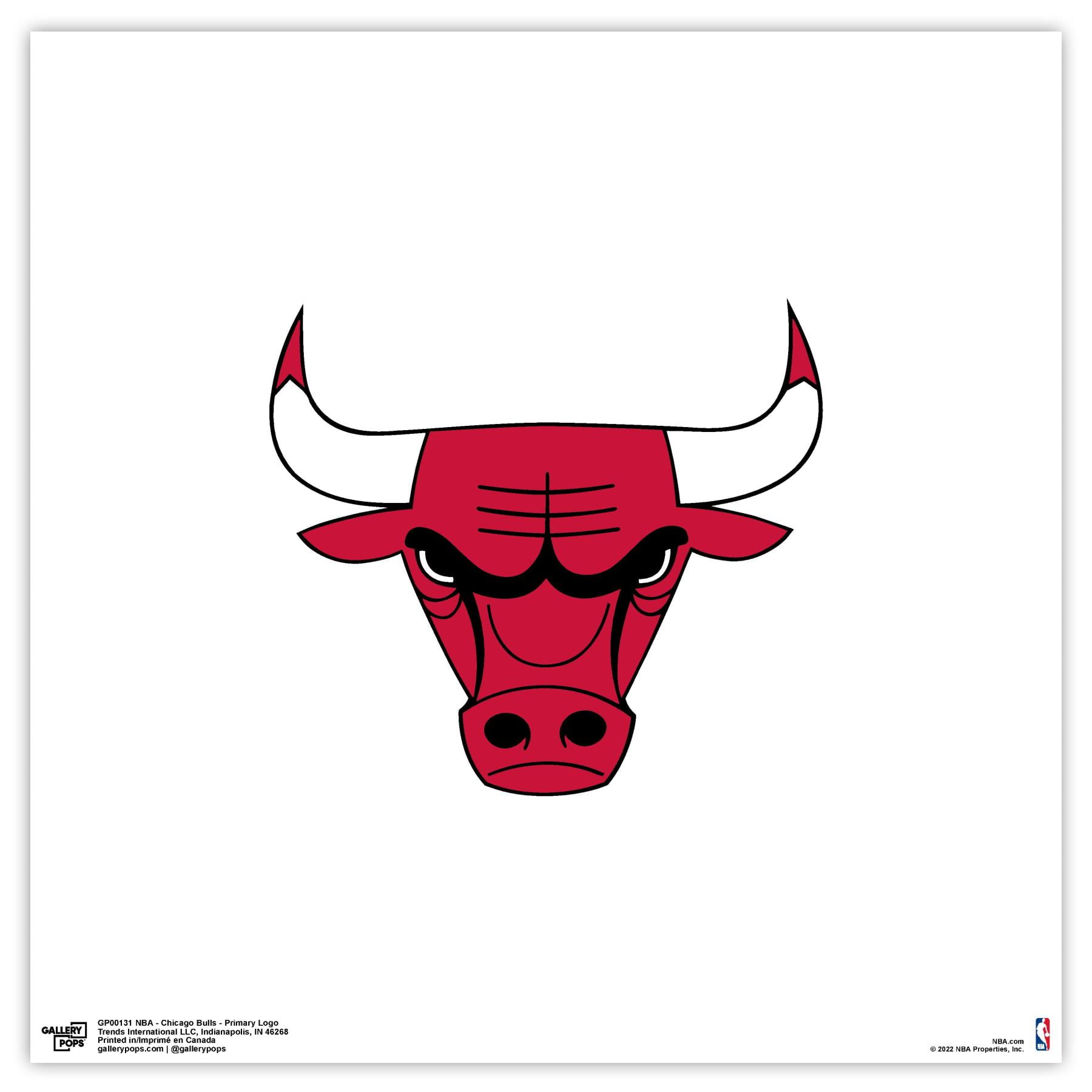 Gallery Pops NBA Chicago Bulls - Primary Logo Wall Art, Unframed ...