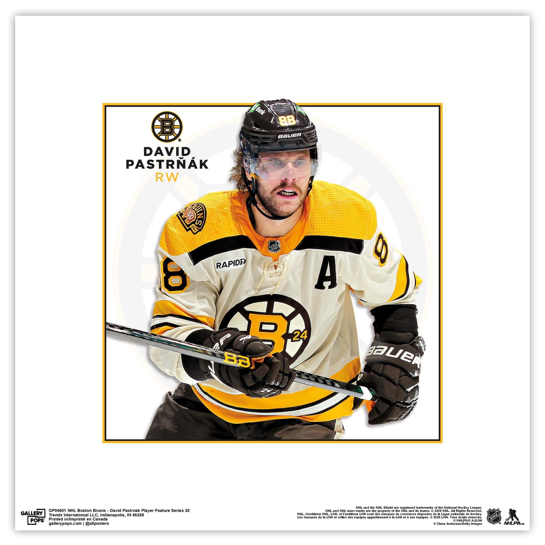 Gallery Pops NHL Boston Bruins - David Pastrnak Player Feature Series ...