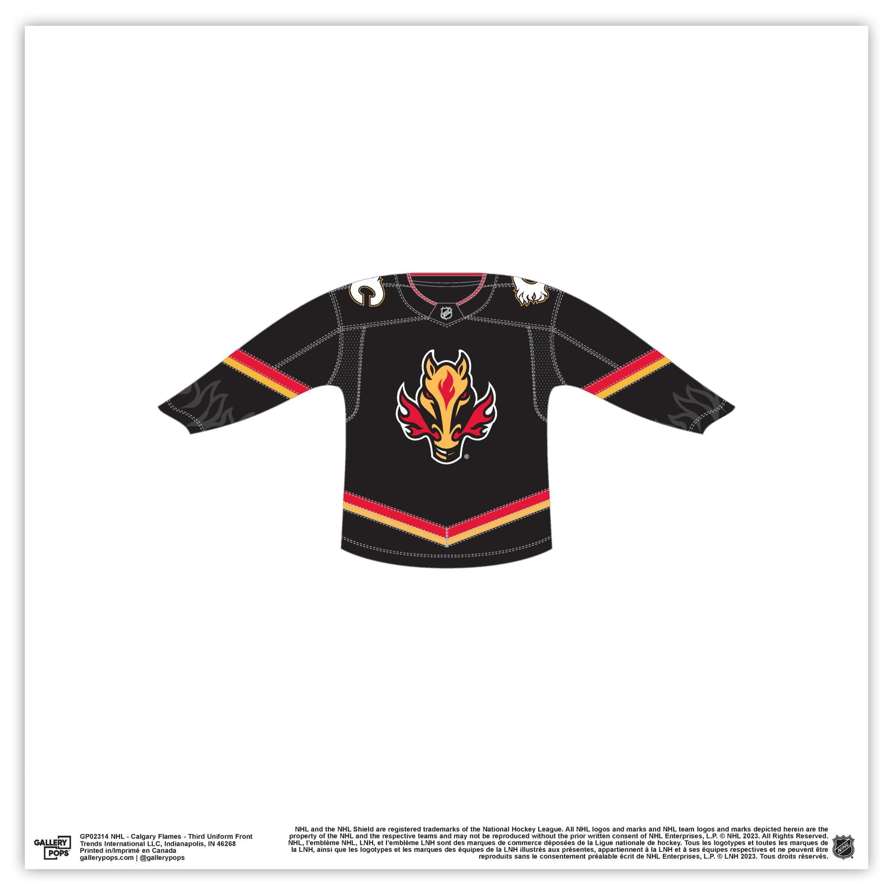 Gallery Pops NHL - Calgary Flames - Third Uniform Front Wall Art ...