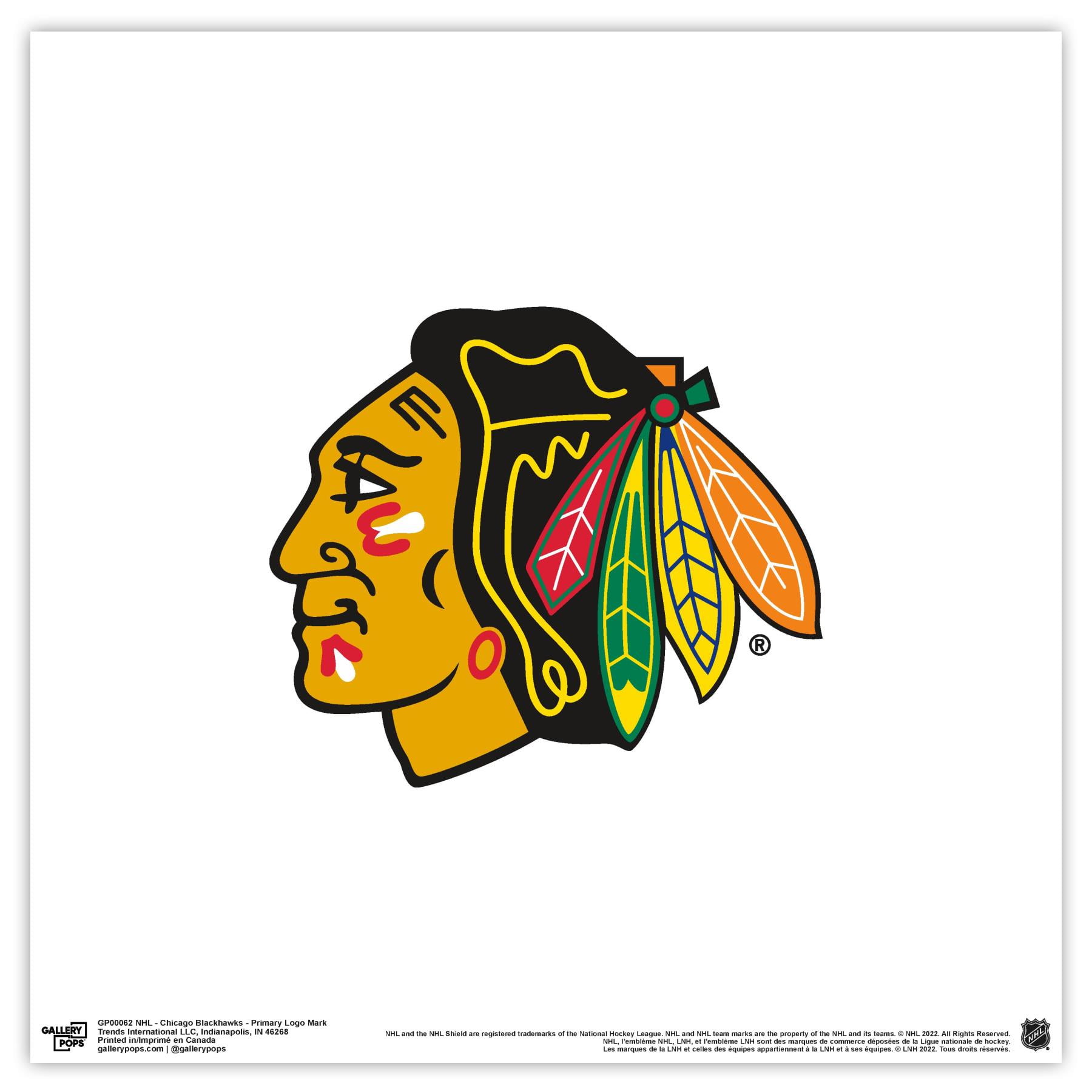 Gallery Pops NHL Chicago Blackhawks - Primary Logo Mark Wall Art ...