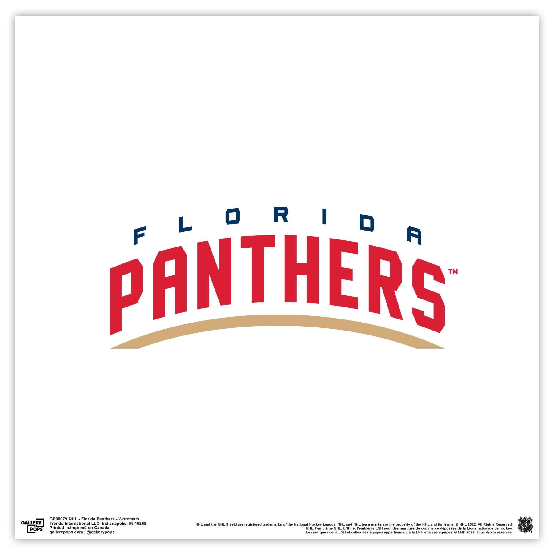 Gallery Pops NHL Florida Panthers - Wordmark Wall Art, Unframed Version ...