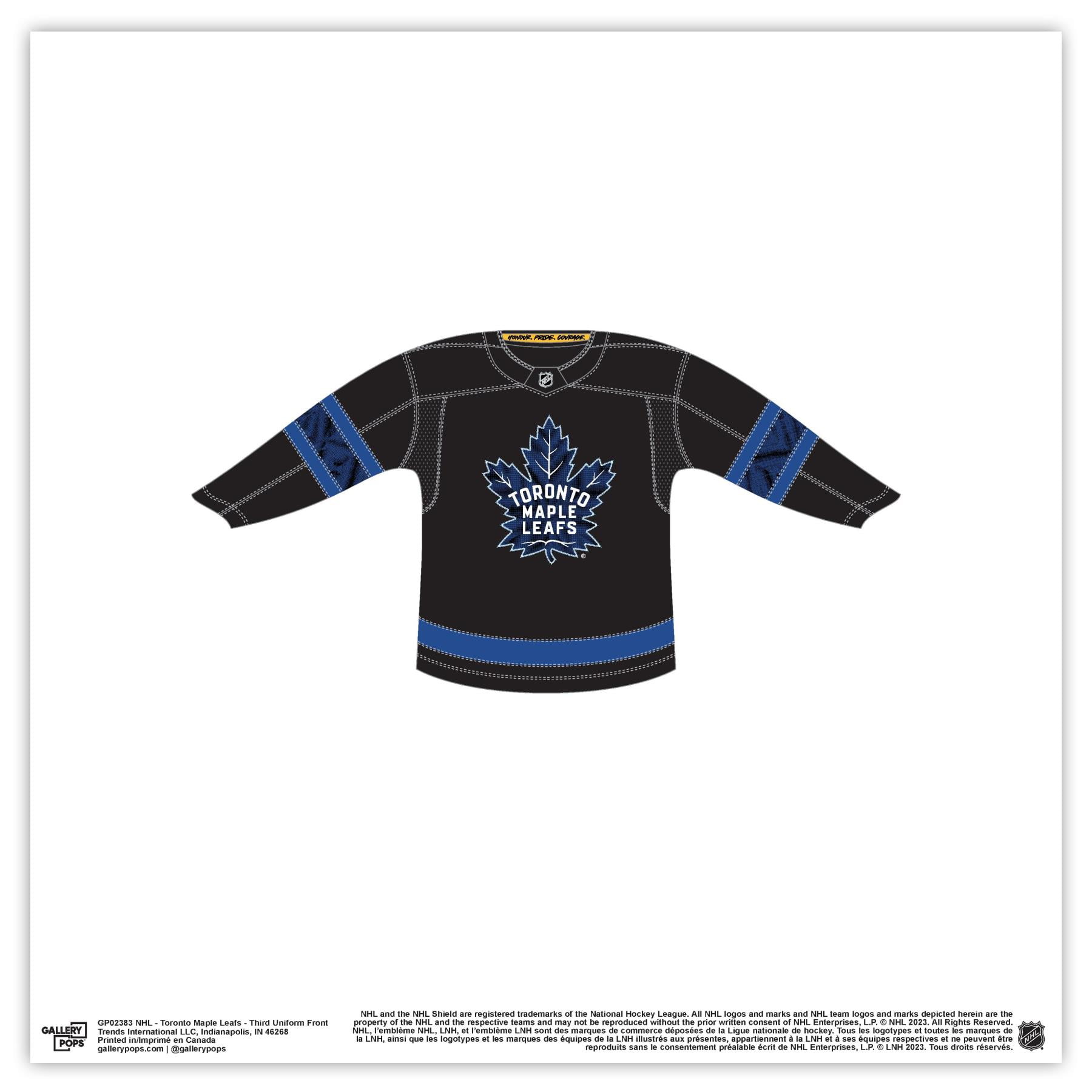 Gallery Pops NHL - Toronto Maple Leafs - Third Uniform Front Wall Art ...