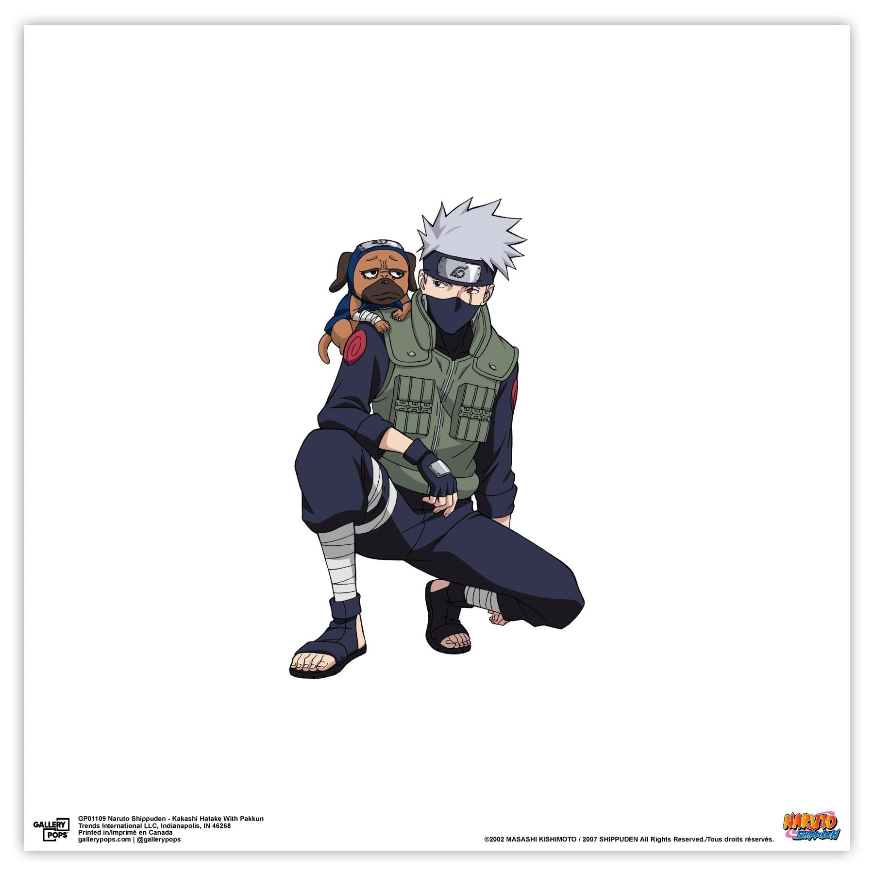Gallery Pops Naruto Shippuden - Kakashi Hatake With Pakkun Wall Art ...