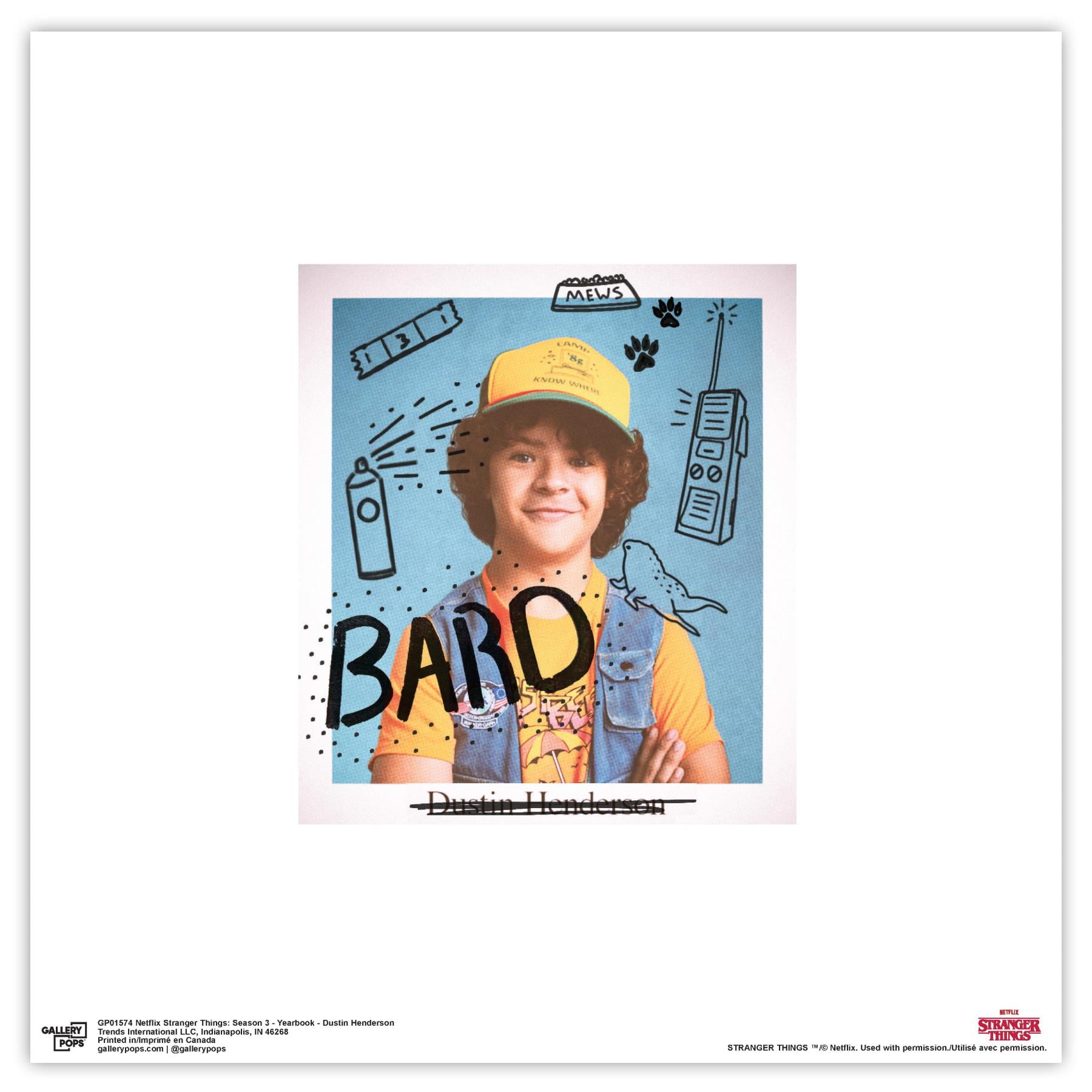 Gallery Pops Netflix Stranger Things: Season 3 - Yearbook - Dustin Wall ...