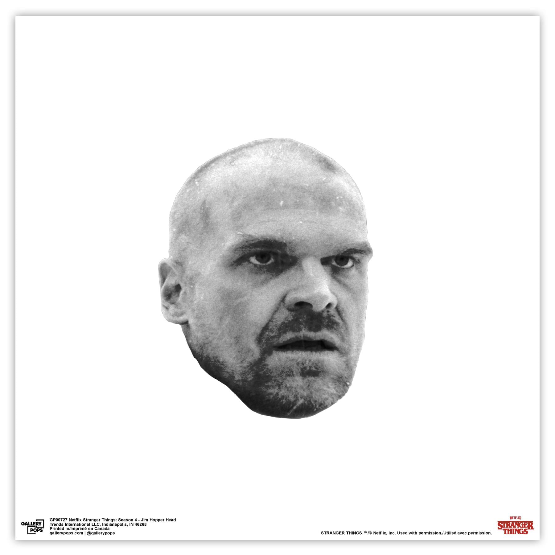 Gallery Pops Netflix Stranger Things: Season 4 - Jim Hopper Head Wall ...