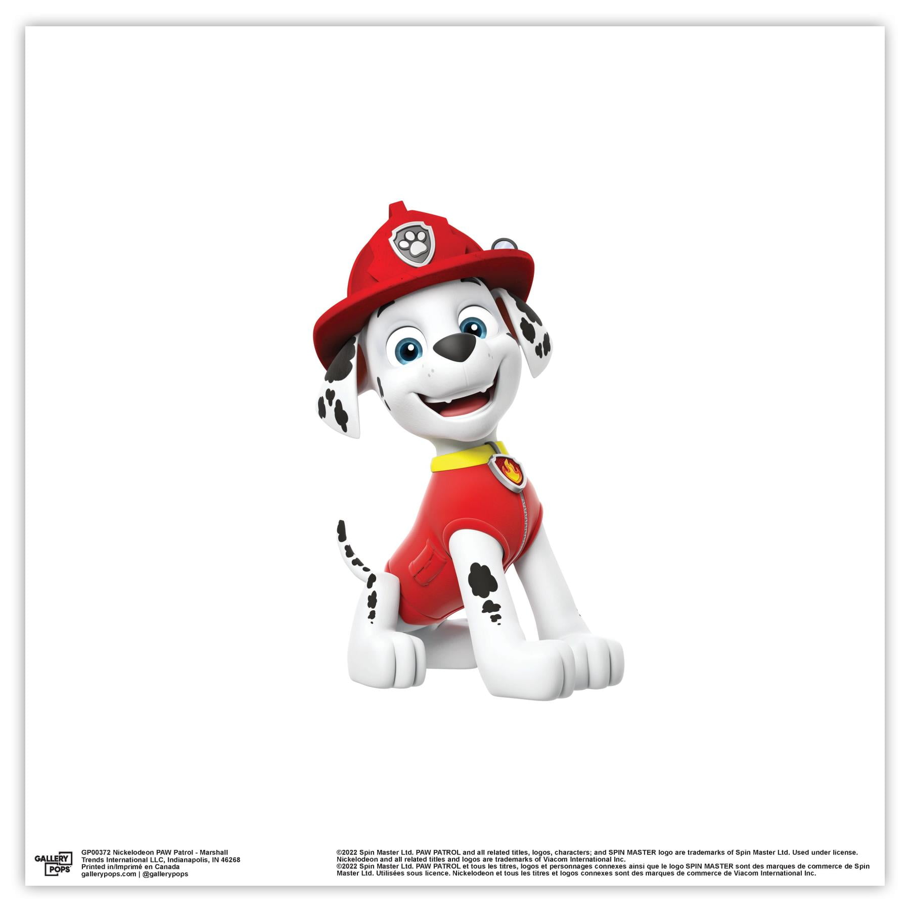 Gallery Pops Nickelodeon PAW Patrol - Marshall Wall Art, Unframed ...