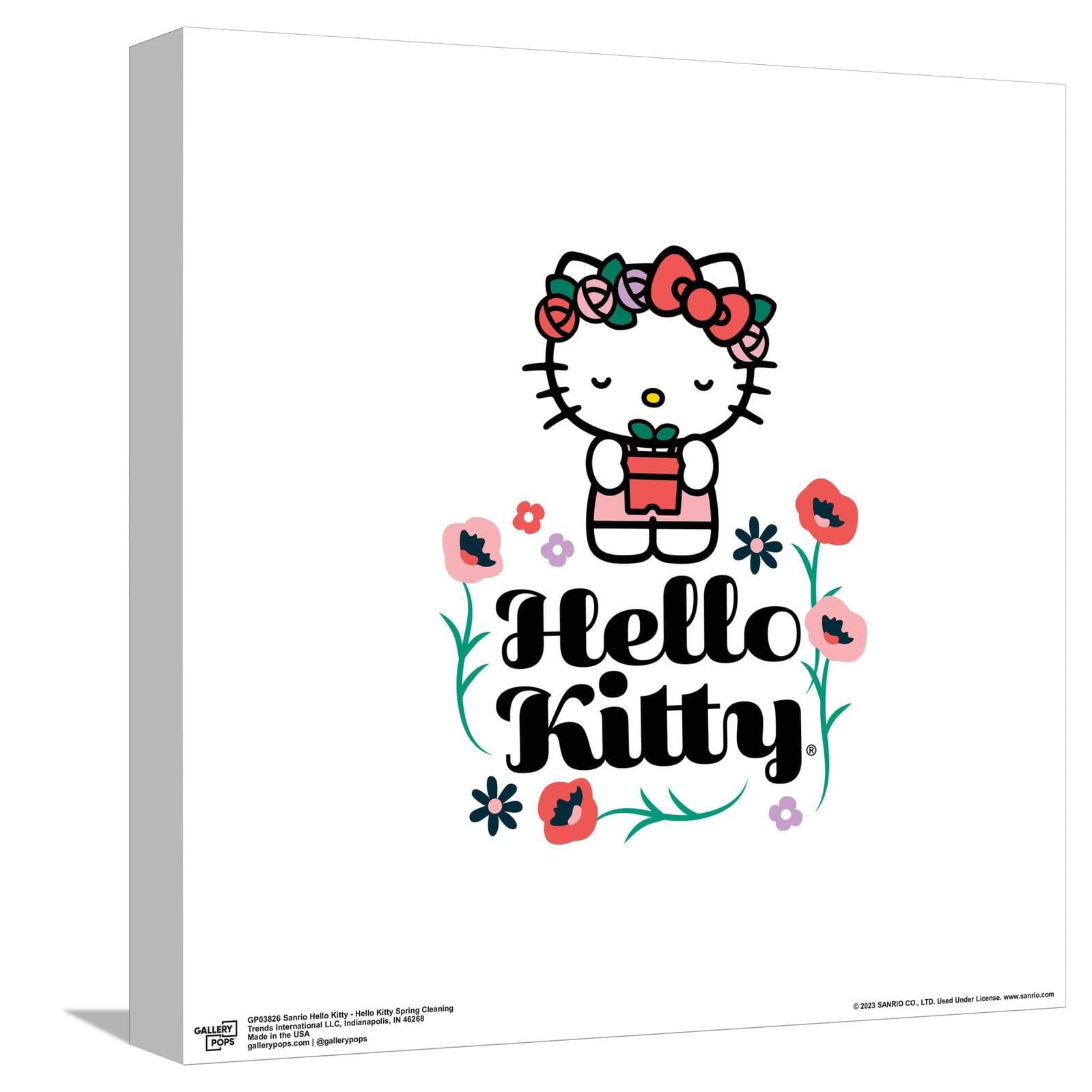 Gallery Pops Sanrio Hello Kitty - Hello Kitty Spring Cleaning Canvas ...