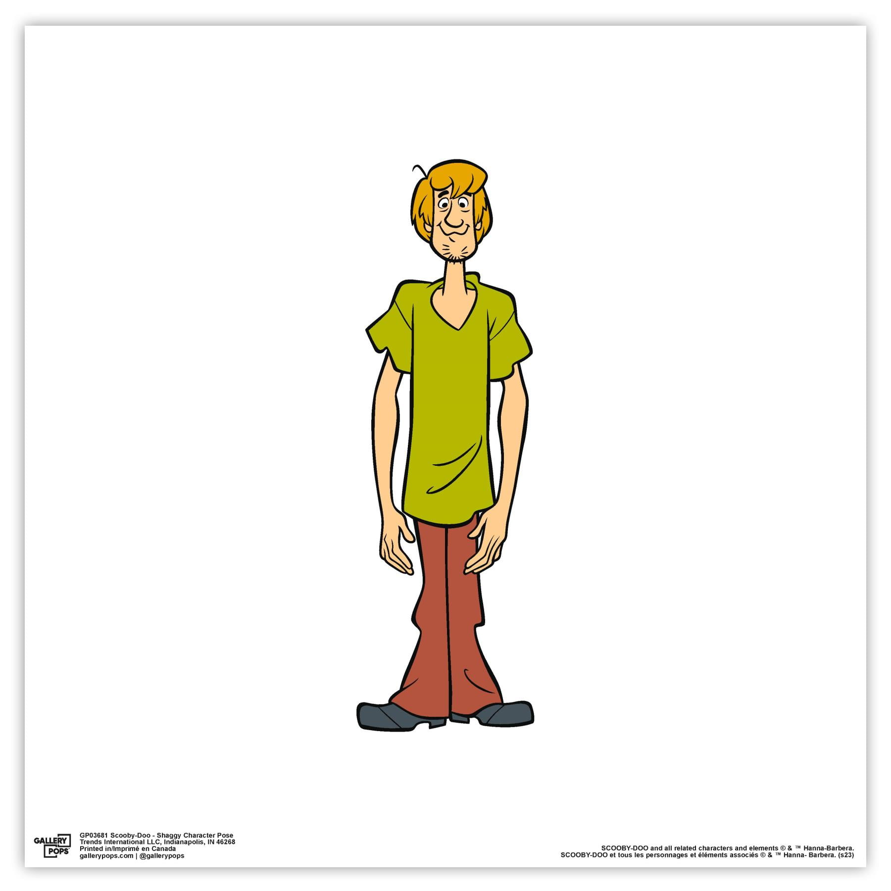 Gallery Pops Scooby-Doo - Shaggy Character Pose Wall Art, Unframed ...