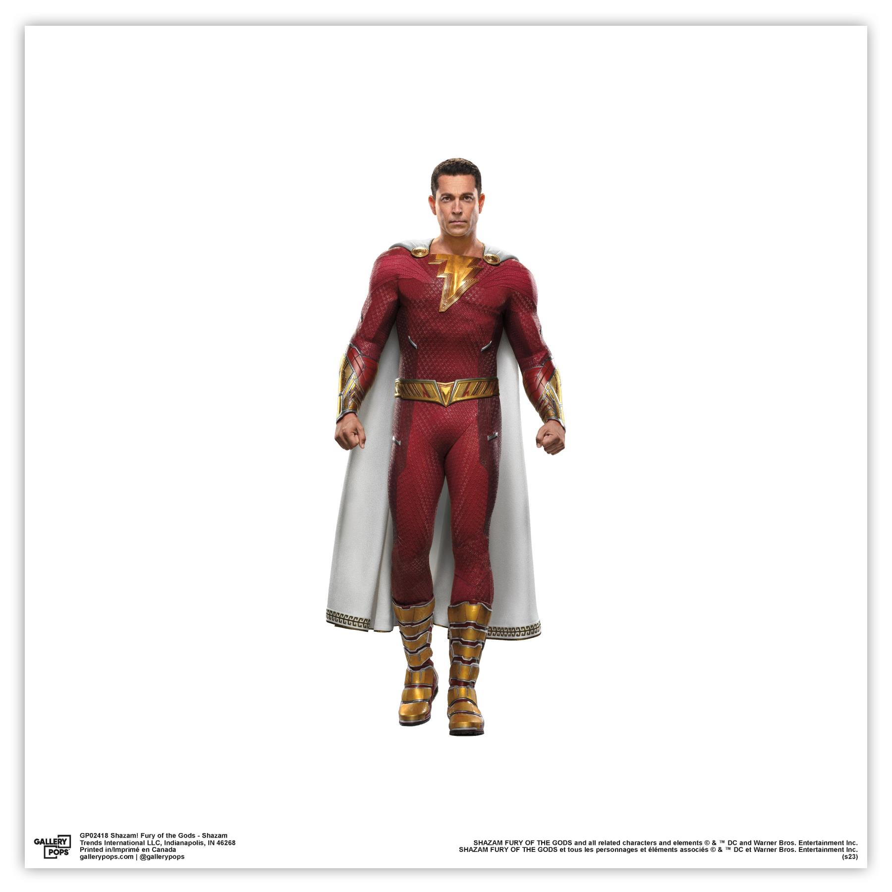 Gallery Pops Shazam! Fury of the Gods - Shazam Wall Art, Unframed ...