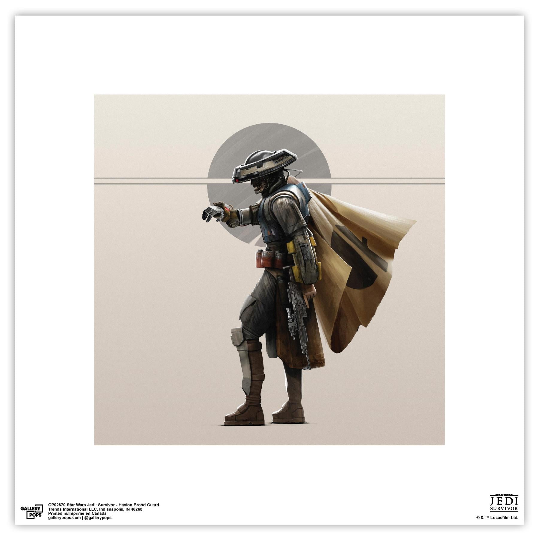 Gallery Pops Star Wars: Jedi: Survivor - Haxion Brood Guard Wall Art ...