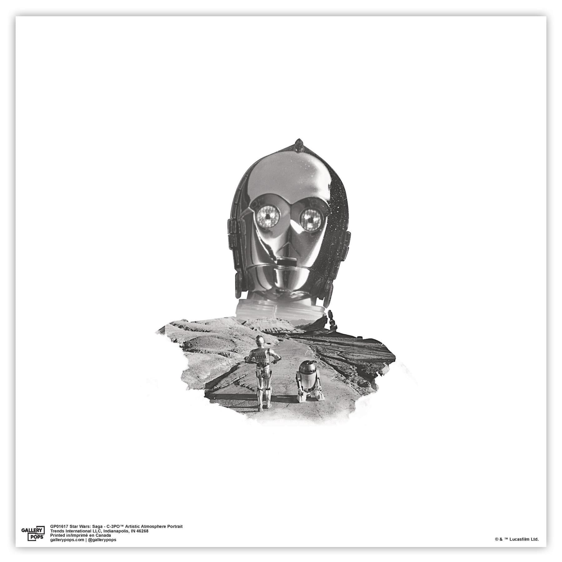 Gallery Pops Star Wars: Saga - C-3PO Artistic Atmosphere Portrait Wall ...