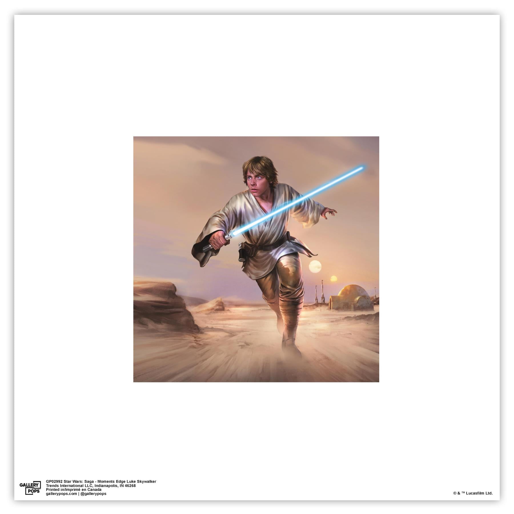 Gallery Pops Star Wars: Saga - Moments Edge Luke Skywalker Wall Art ...
