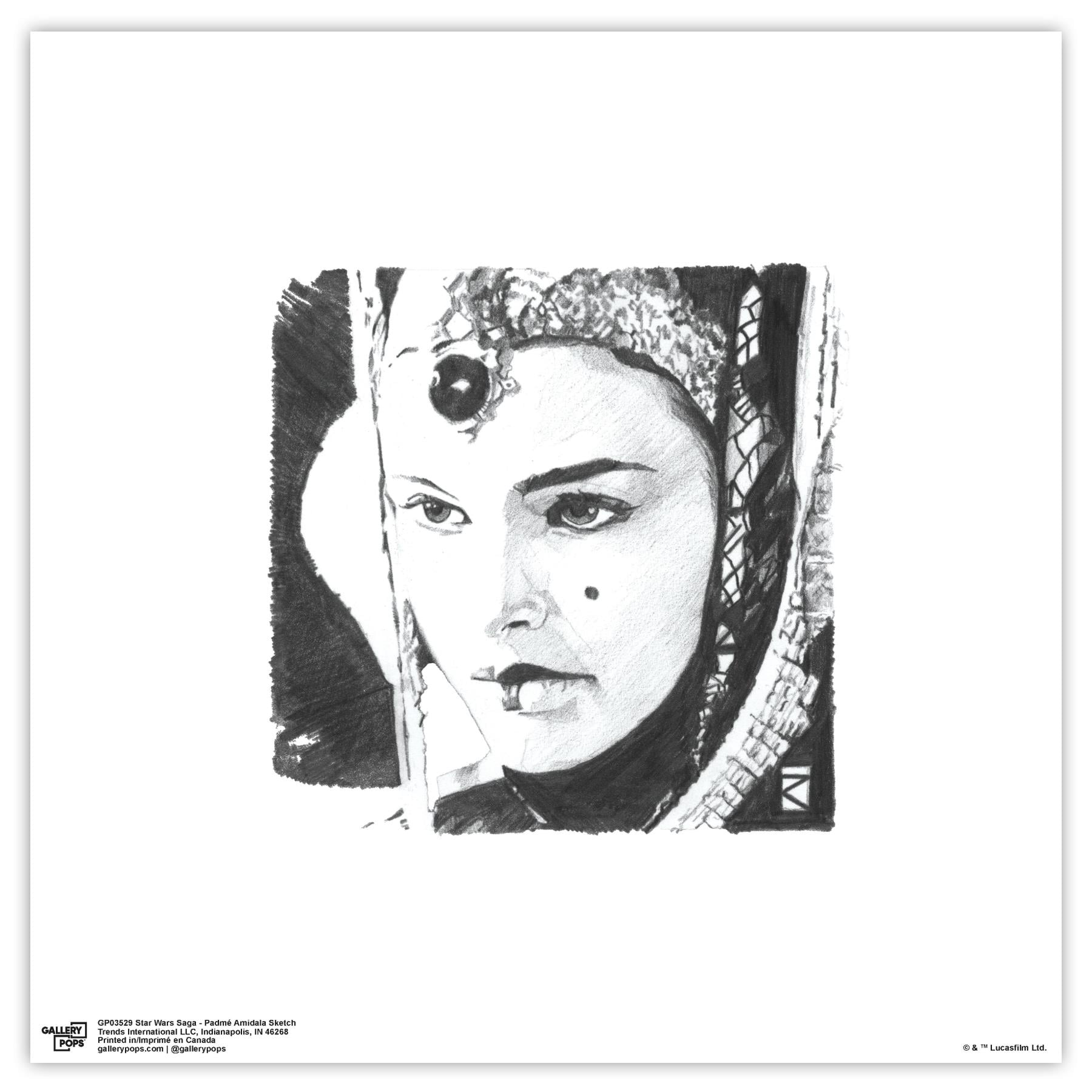 Gallery Pops Star Wars: Saga - Padma Amidala Sketch Wall Art, Unframed ...