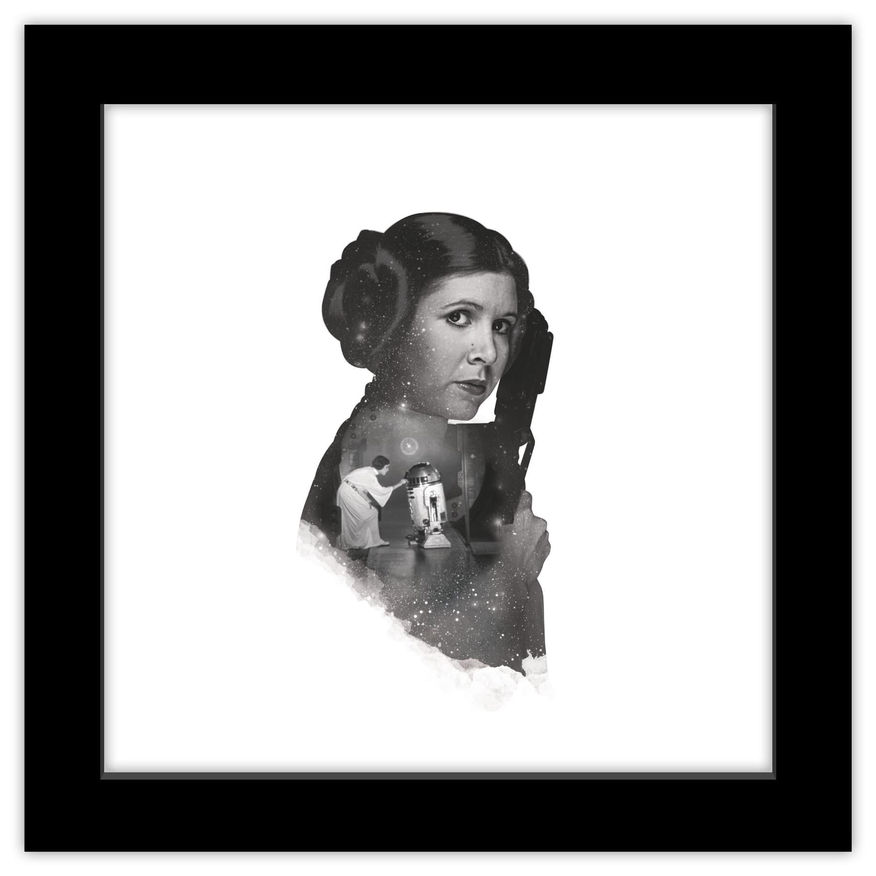 Gallery Pops Star Wars: Saga - Princess Leia Artistic Atmosphere ...