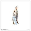 Star Wars: Saga - Princess Leia - Signature Wall Poster with Push Pins ...