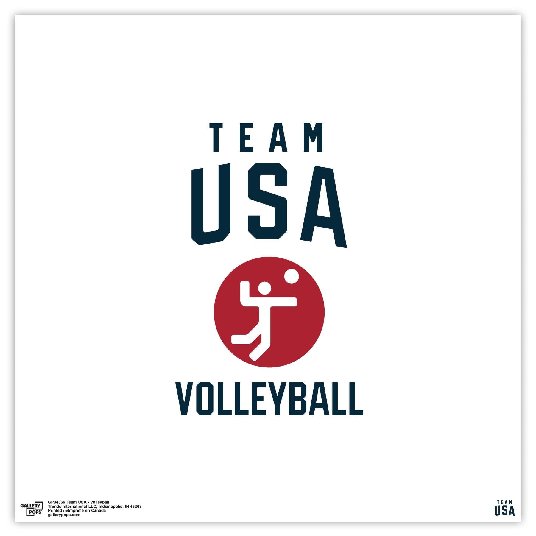 Gallery Pops Team USA - Volleyball Wall Art, Unframed Version, 12" x 12 ...