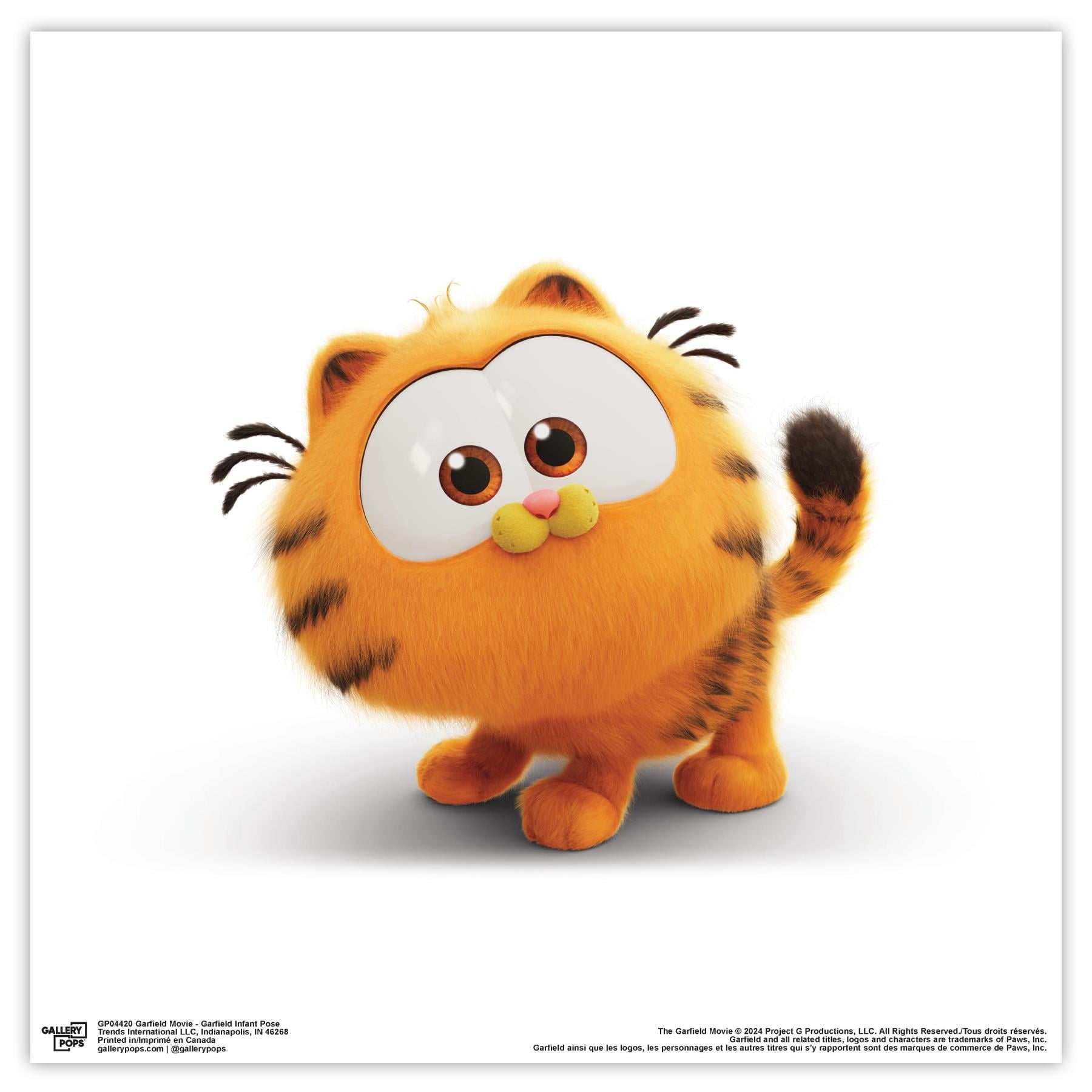 Gallery Pops The Garfield Movie - Garfield Infant Pose Wall Art ...