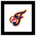 Gallery Pops WNBA Indiana Fever - Secondary Logo Wall Art, Black Framed ...
