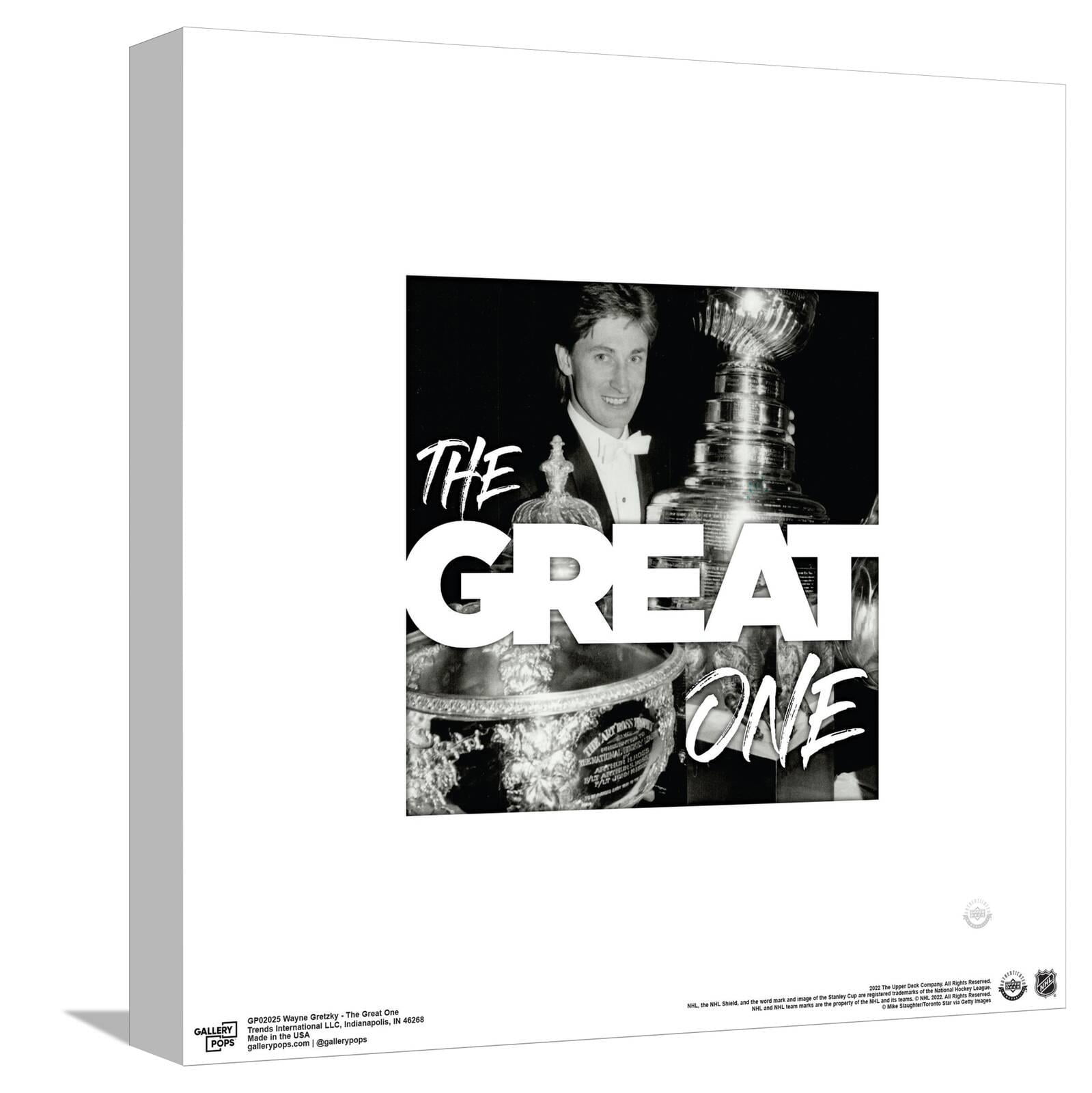 Gallery Pops Wayne Gretzky - The Great One Canvas Wall Art, Unframed ...