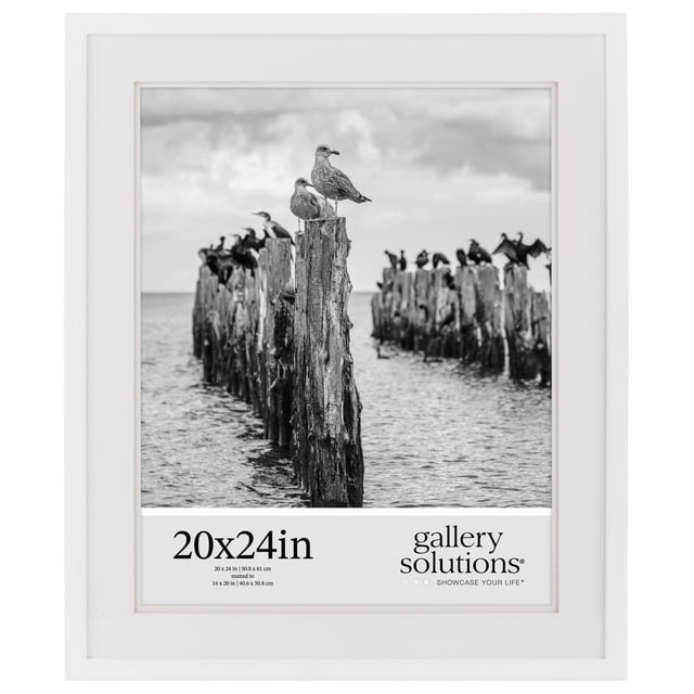 Gallery Solutions 20"x24" White Frame, Double Mat, Wall Tabletop ...