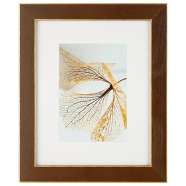 6 Pack: Metallic Gold Scalloped Frame with Mat - Gallery by Studio ...