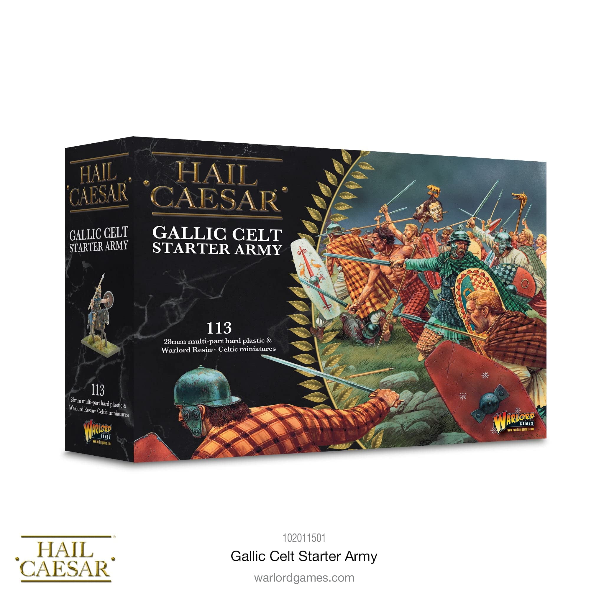 Gallic Celt Starter Army - Plastic Miniatures for Hail Caesar Highly ...