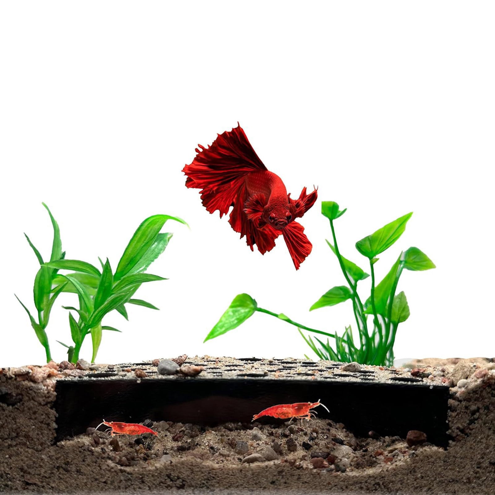 Gallickan Aquarium Cave, Fish Shrimp Breeding Protector Evasion House ...