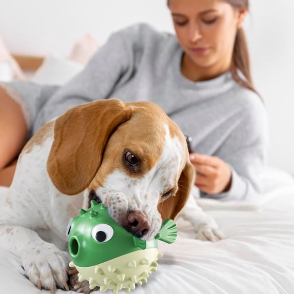 Gallickan Dog Chew Toys for Aggressive Chewers, Tough Rubber Blowfish ...