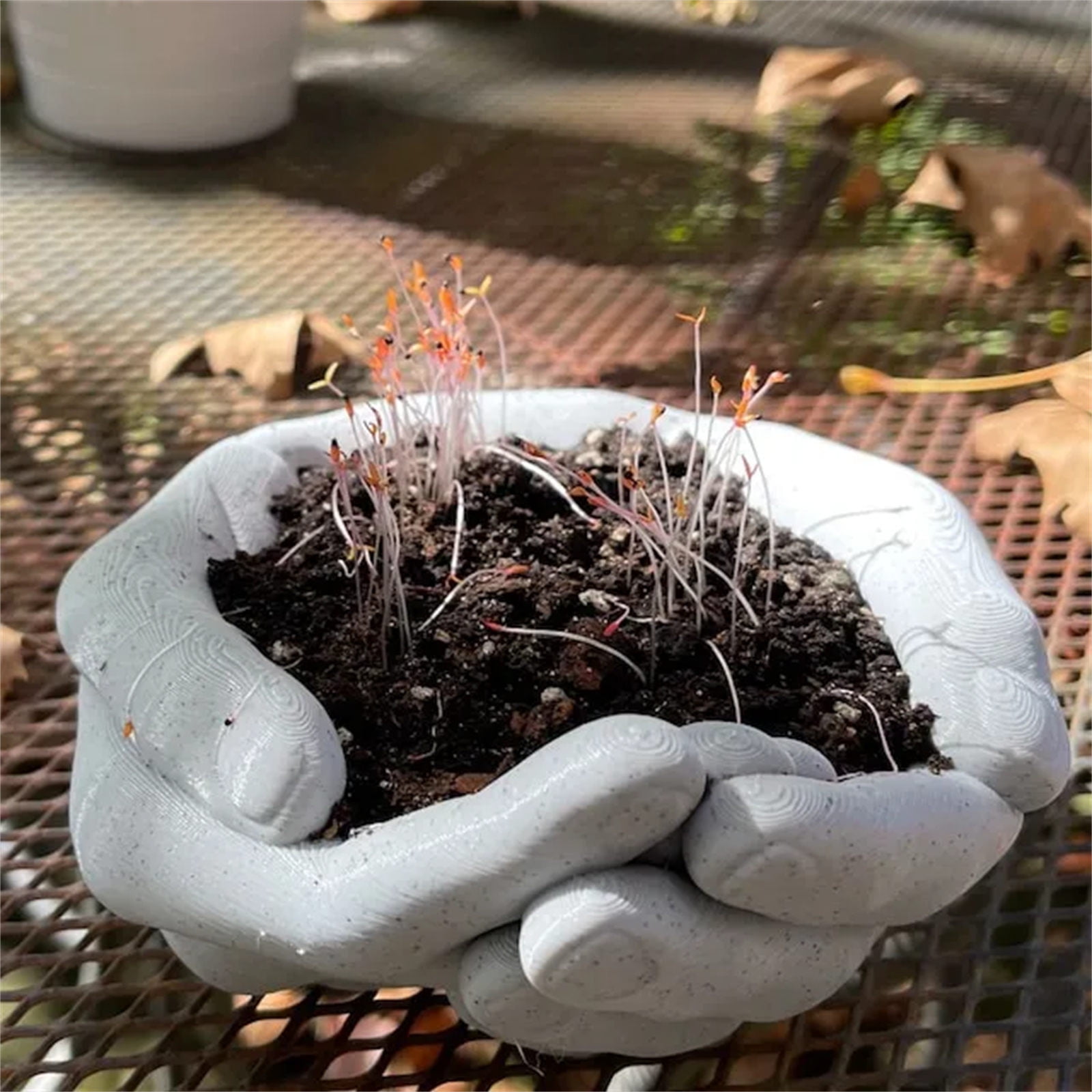 Gallickan Hand Shaped Succulent Planter, Hands Plants Pot, Pray Hands ...