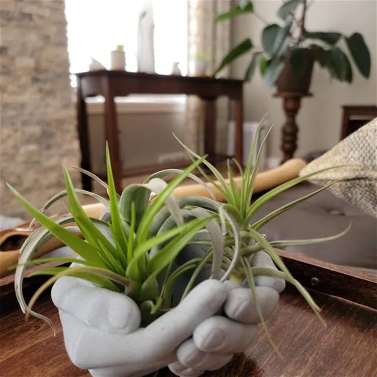 Gallickan Hand Shaped Succulent Planter, Hands Plants Pot, Pray Hands ...