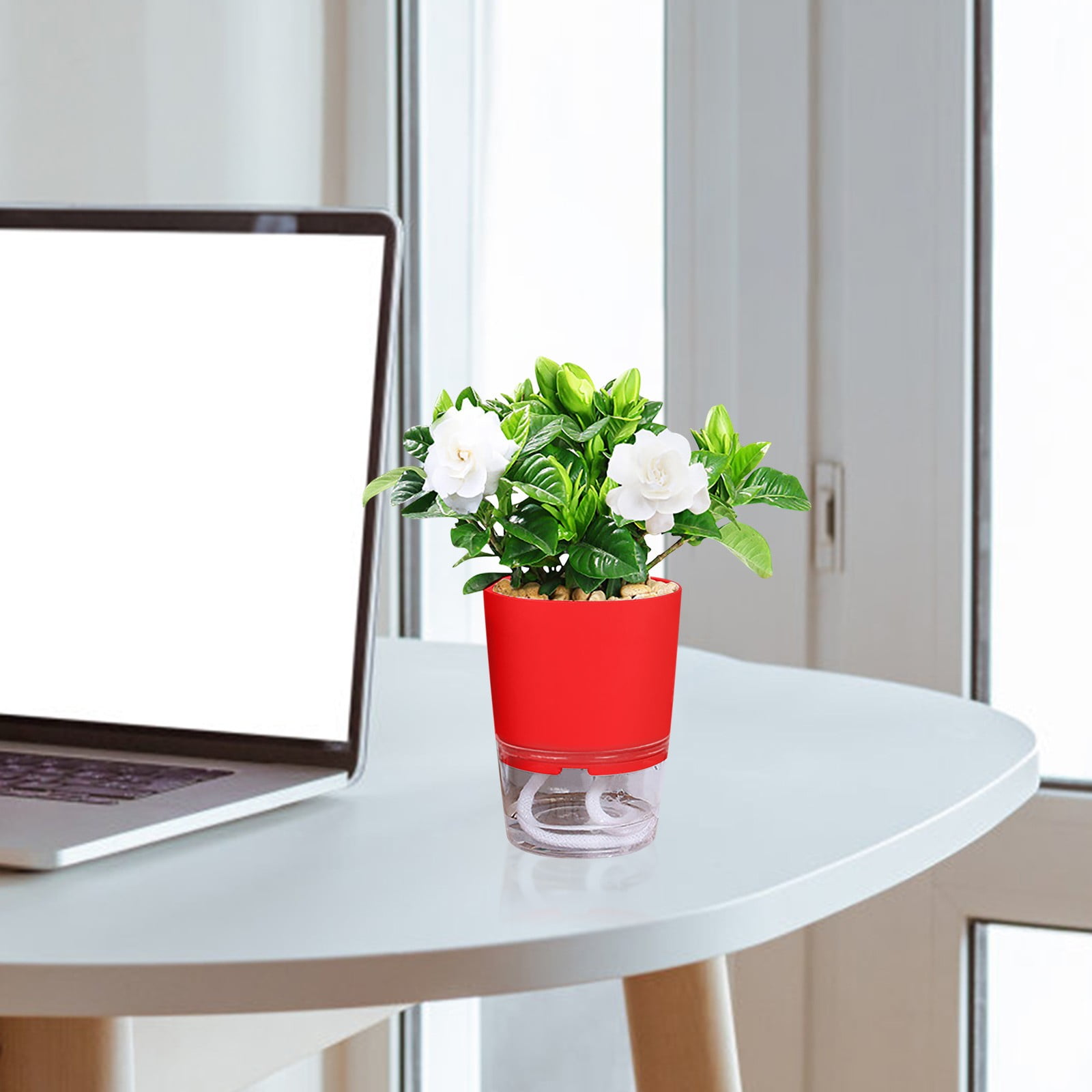 Gallickan Self Watering Pots, 6 Inch Clear Planter for Indoor Plants ...