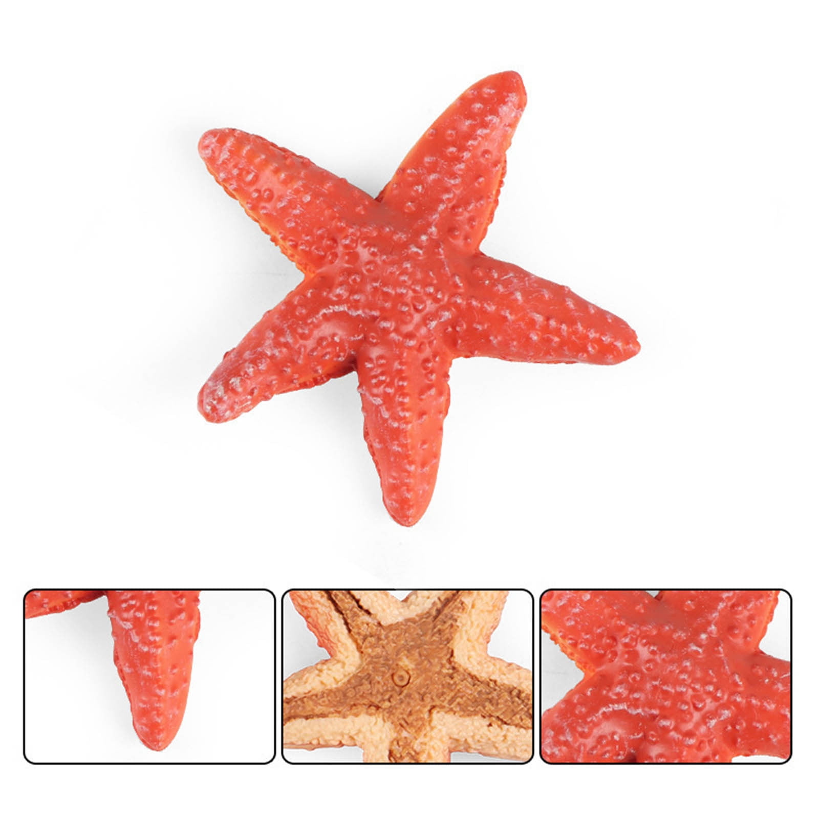 Elainilye Starfish Models, Realistic Starfish Simulation Toys, Pool ...