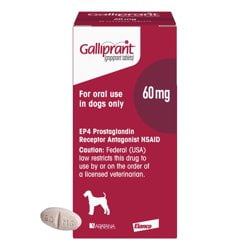 Galliprant (grapiprant) Tablets for Dogs, 60mg HSA/FSA Eligible ...