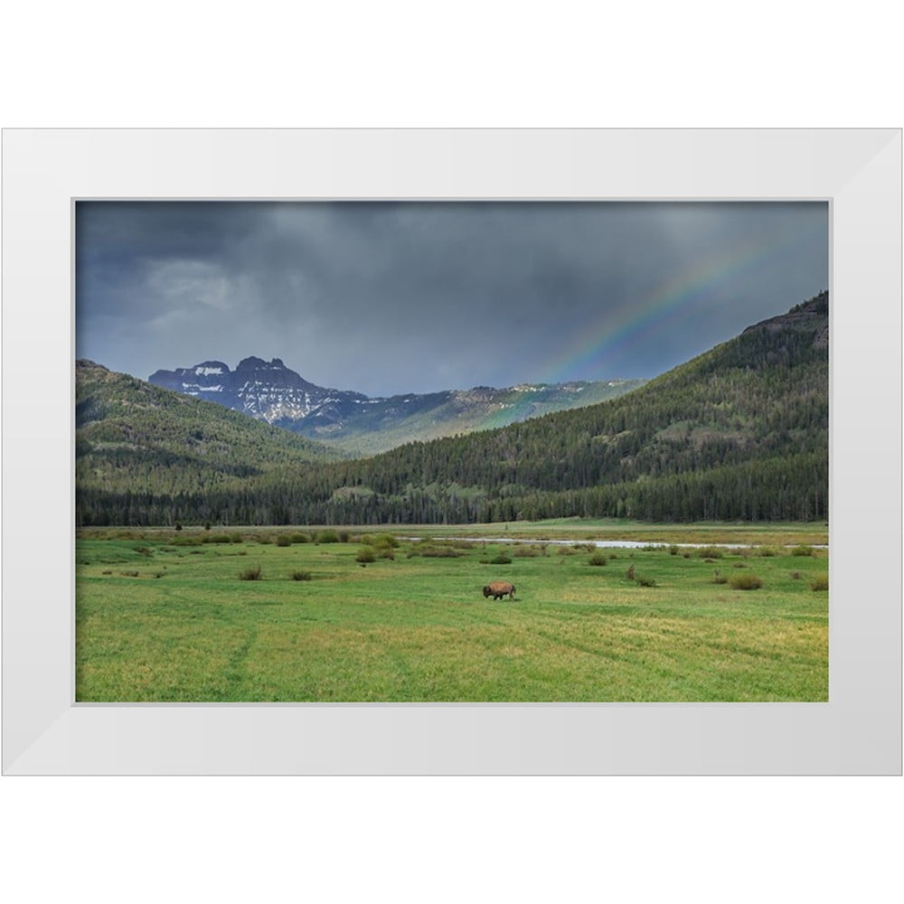 Galloimages Online 14x11 White Modern Wood Framed Museum Art Print ...