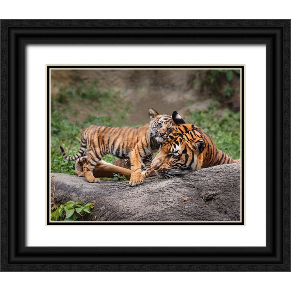 Galloimages Online 14x12 Black Ornate Wood Framed with Double Matting ...