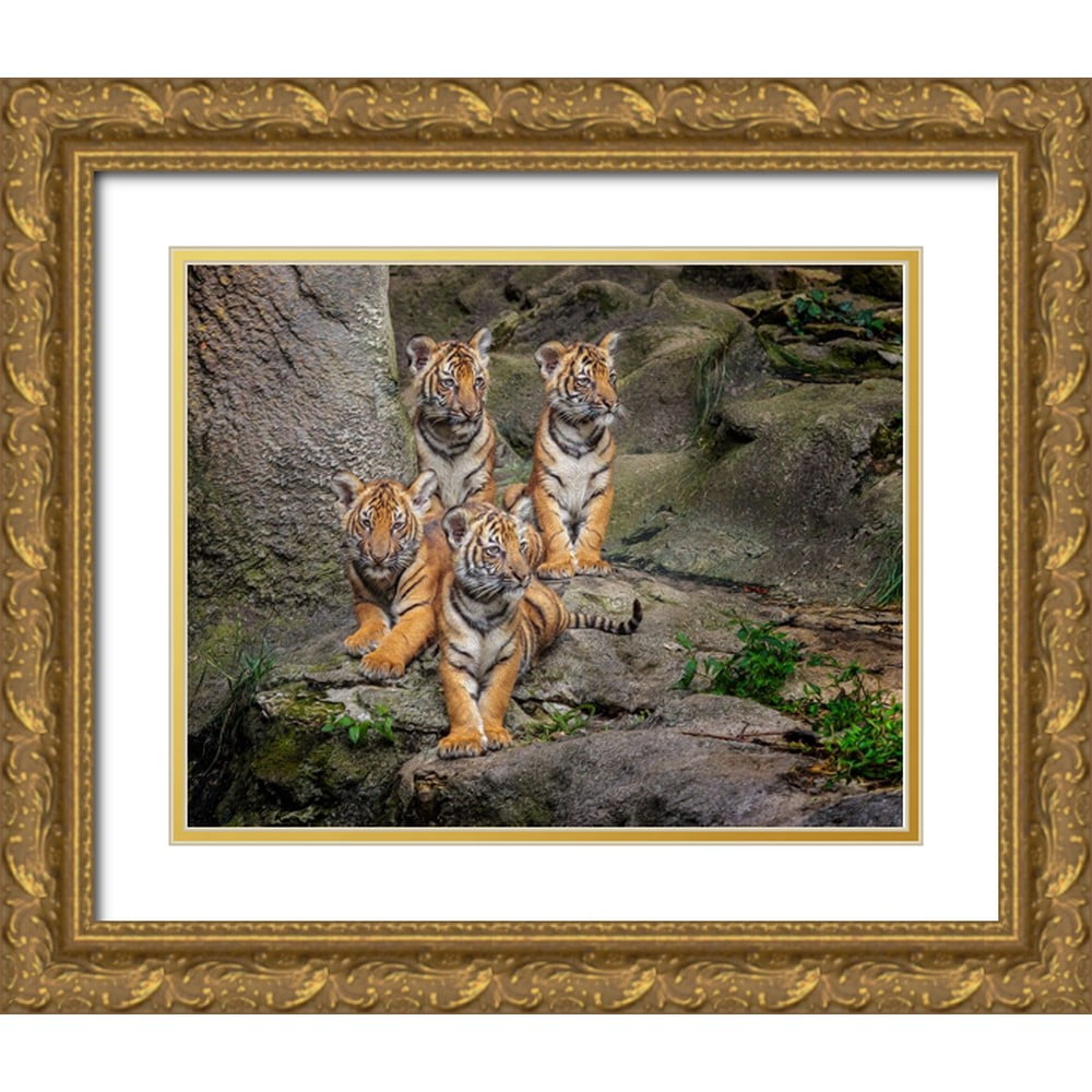 Galloimages Online 14x12 Gold Ornate Wood Framed with Double Matting ...