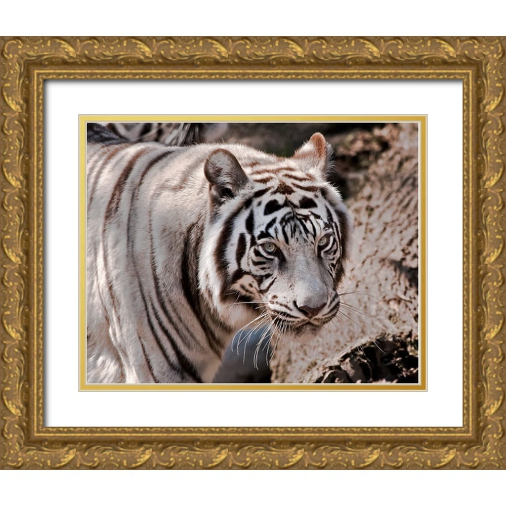 Galloimages Online 14x12 Gold Ornate Wood Framed with Double Matting ...