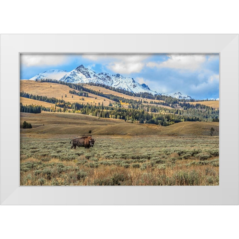 Galloimages Online 18x13 White Modern Wood Framed Museum Art Print ...