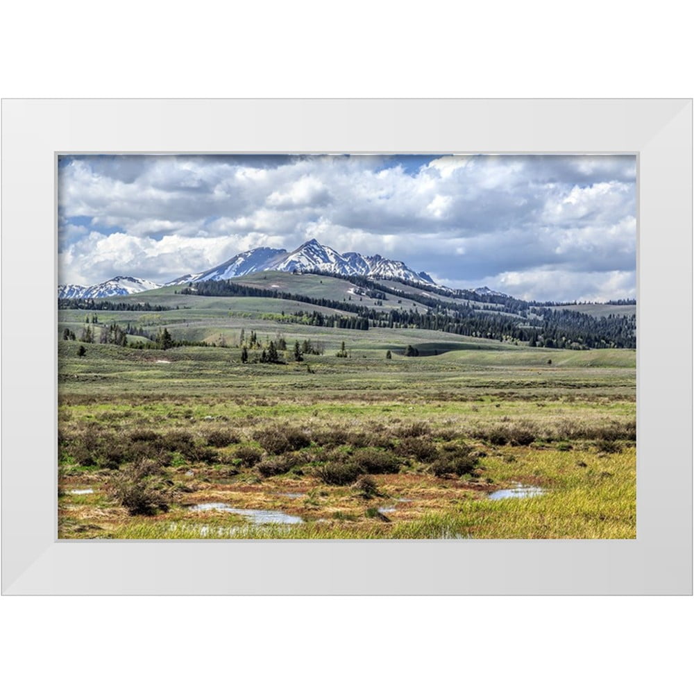 Galloimages Online 18x13 White Modern Wood Framed Museum Art Print ...