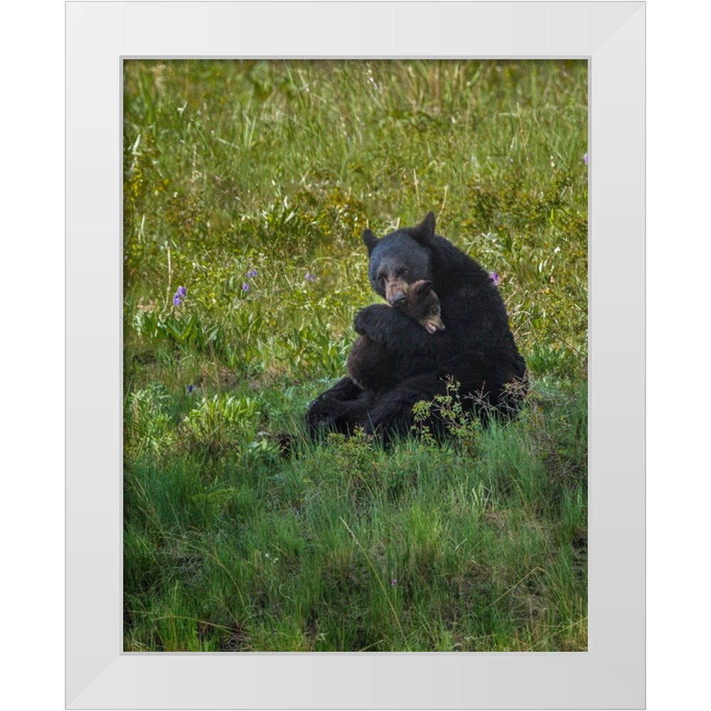 Galloimages Online 20x24 White Modern Wood Framed Museum Art Print ...