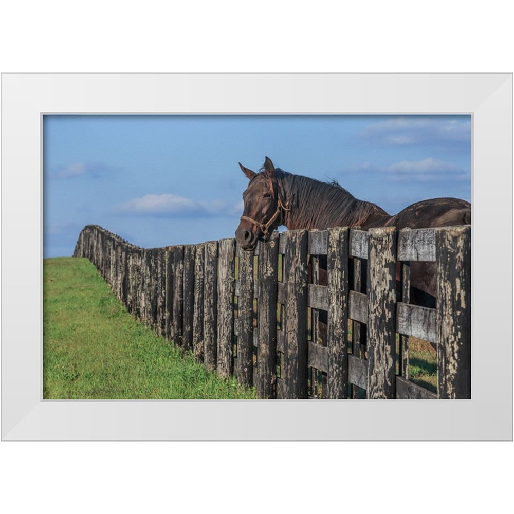 Galloimages Online 24x17 White Modern Wood Framed Museum Art Print ...